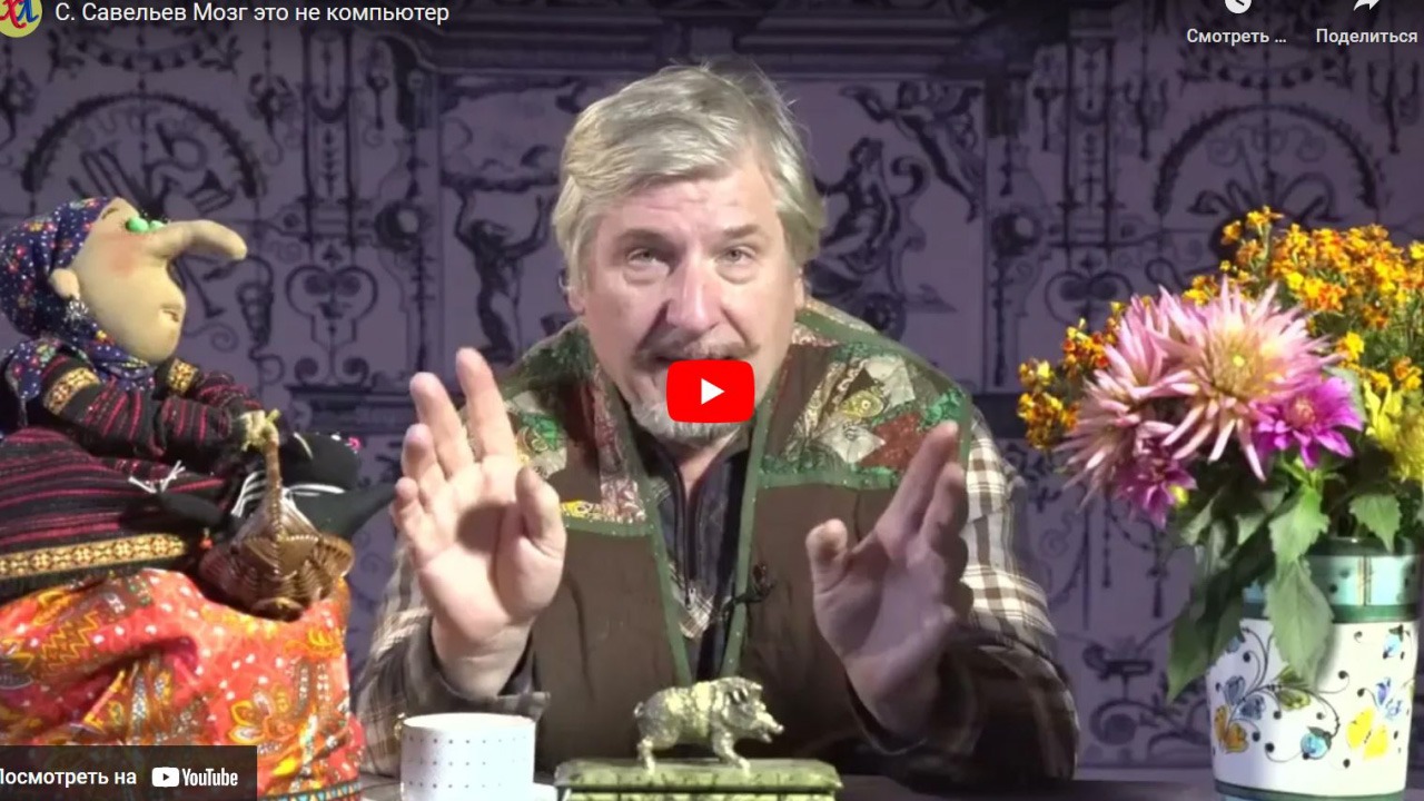 Хорошие Лекции - С. Савельев Мозг это не компьютер